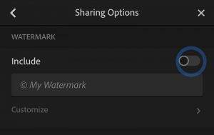 How to watermark photos on iPhone - iPhone photography